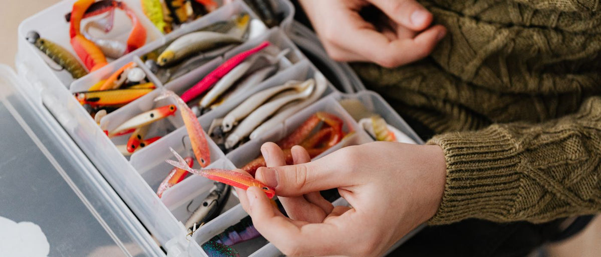 Fishing Lure Categories: Master All Lure Types