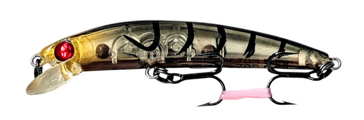 Shimano Fishing Rods and Reels – Premium Performance Gear Australia