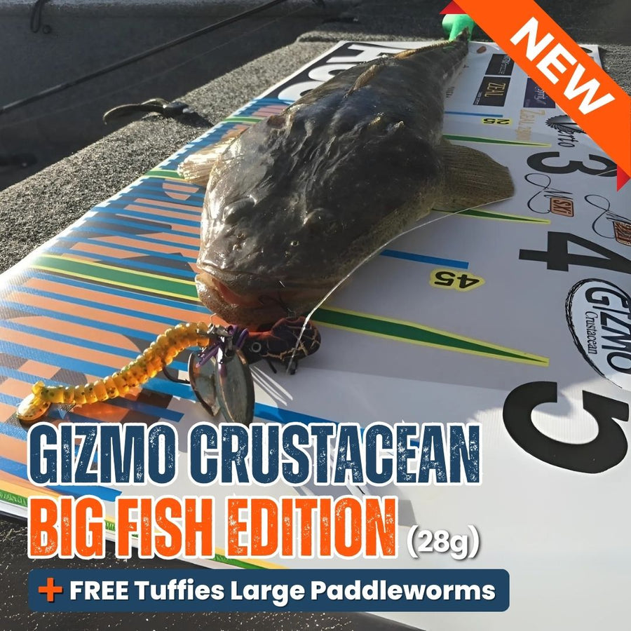 Fishing Lures for Aussie Waters | Fishing Superstore